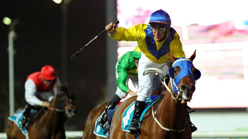 Dubai Racing Club Meydan Dubai World Cup Carnival - Biz Today
