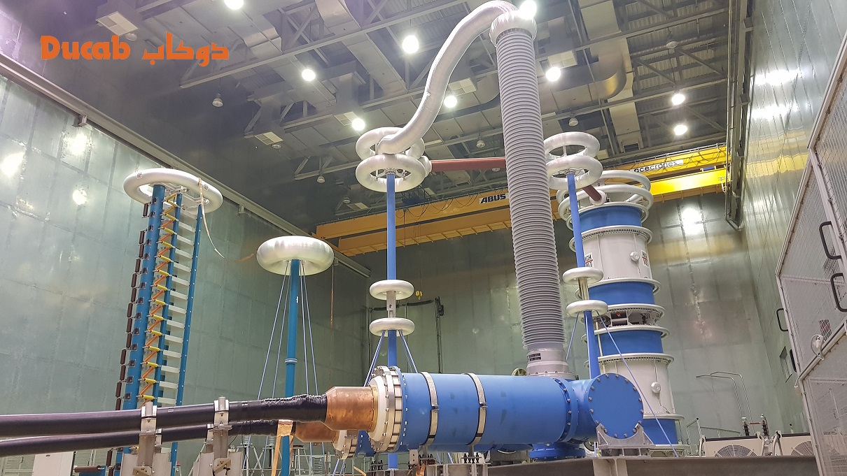 Ducab Group confirms 5% rise in profitability for 2019 - Biz Today