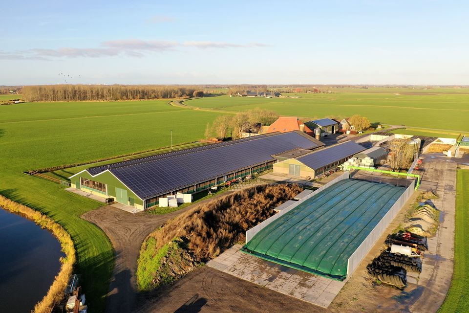 FrieslandCampina launches new organic milk formula Organic FRISO ...