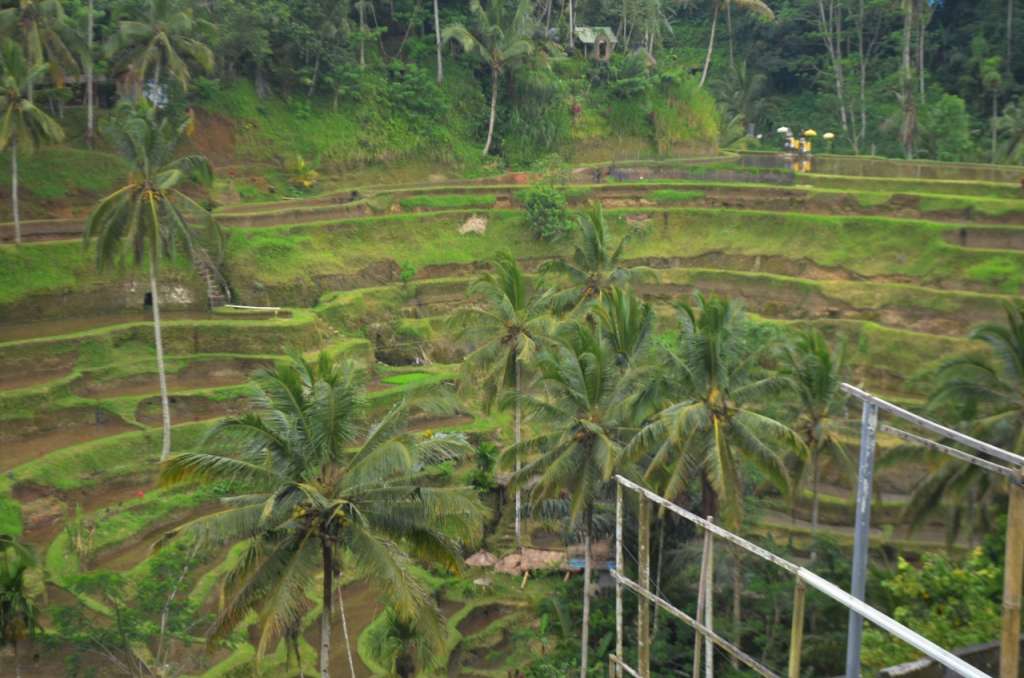 Seeing the Gloomy of Bali Tourism Economy Movement - Biz Today