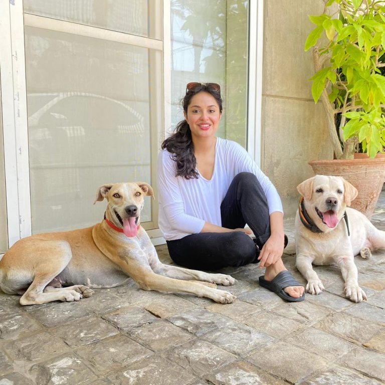Ayesha Chundrigar and ACF Animal Rescue unveils first-ever Nationwide ...