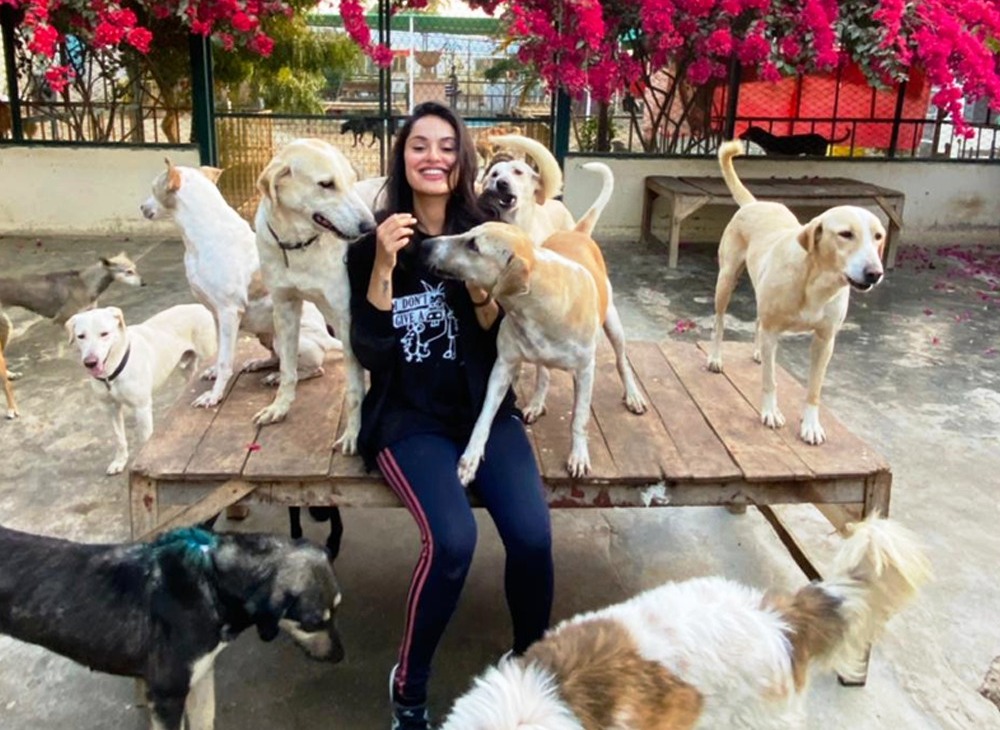 Ayesha Chundrigar and ACF Animal Rescue unveils first-ever Nationwide ...