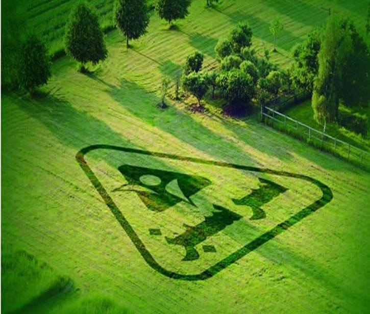 Fatima Fertilizer earns global recognition through Guinness World ...