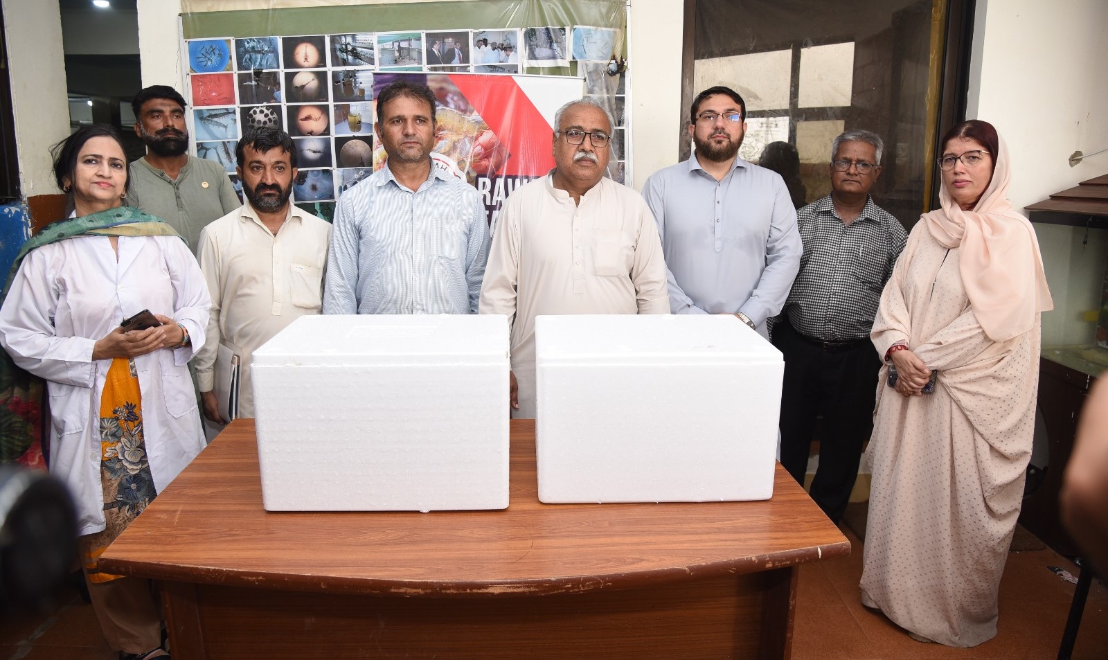 Private Farm in Karachi successfully produces the first batch of shrimp ...