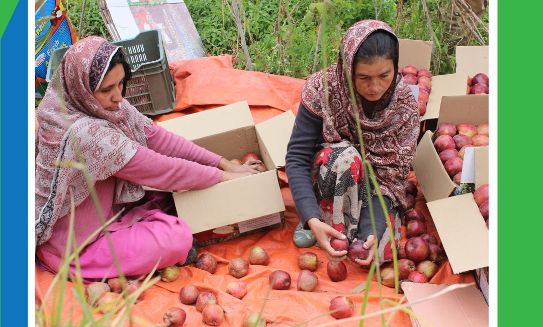 Volunteer Tourism' - A Collaboration between the Government of Gilgit-Baltistan and Code for ...