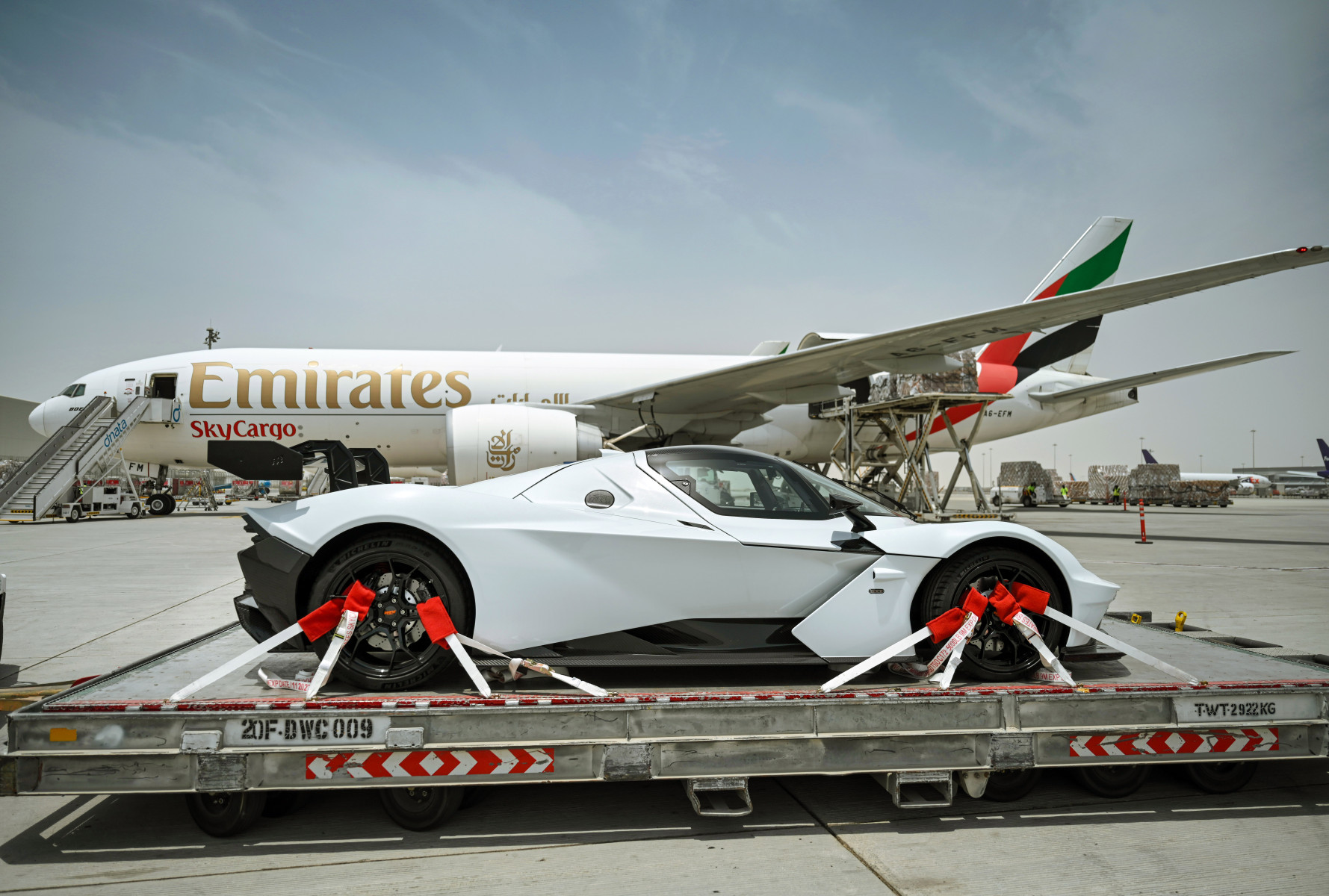 Relocate pets and ship cars for less with Emirates Skywards - Biz Today