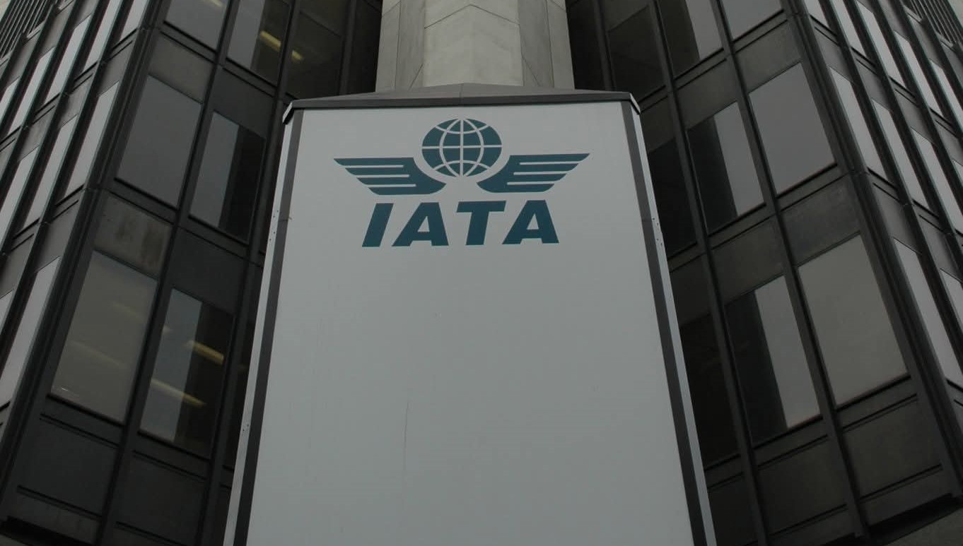 Kiri amari x all the reviews and photos indicated she would