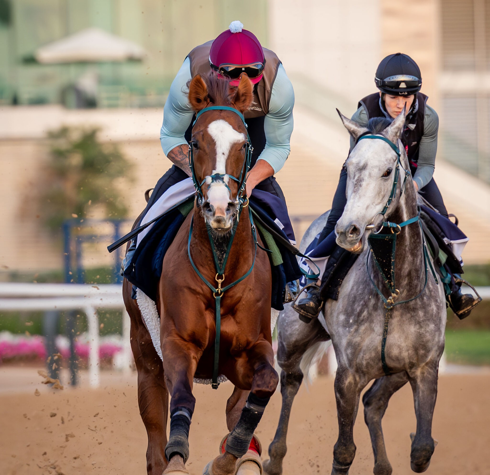 International Field Set for Exciting Dubai Racing Carnival at Meydan ...